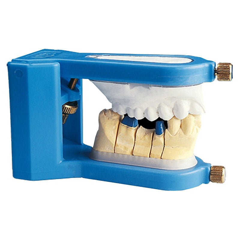 Articulateur CUP Couleur Hemi-arcade Utilisable avec Cup