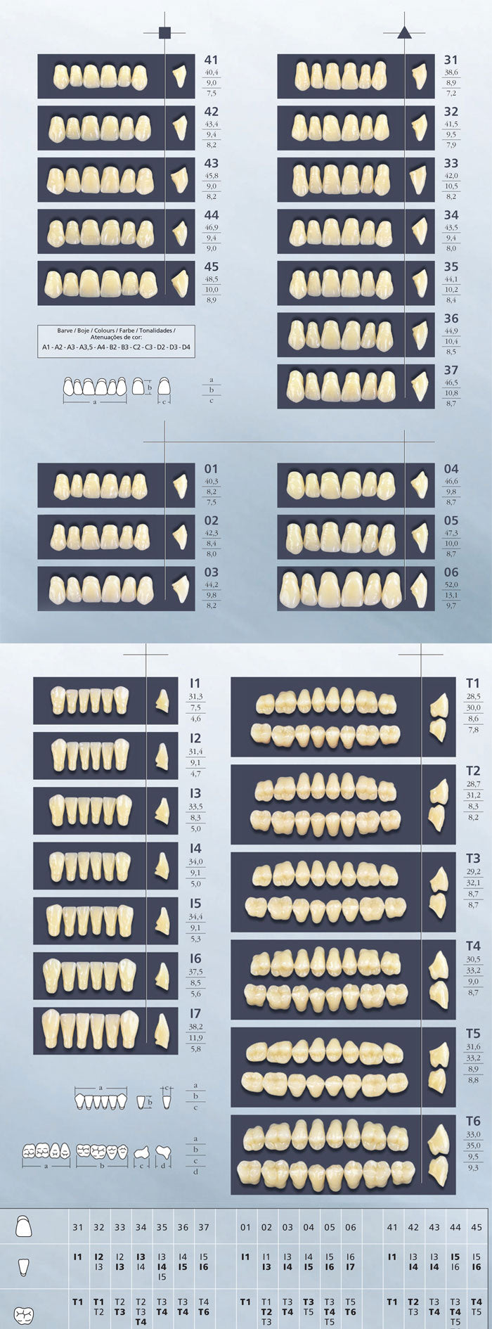 Cross Linked II - Map of shapes for choice of forms of teeth