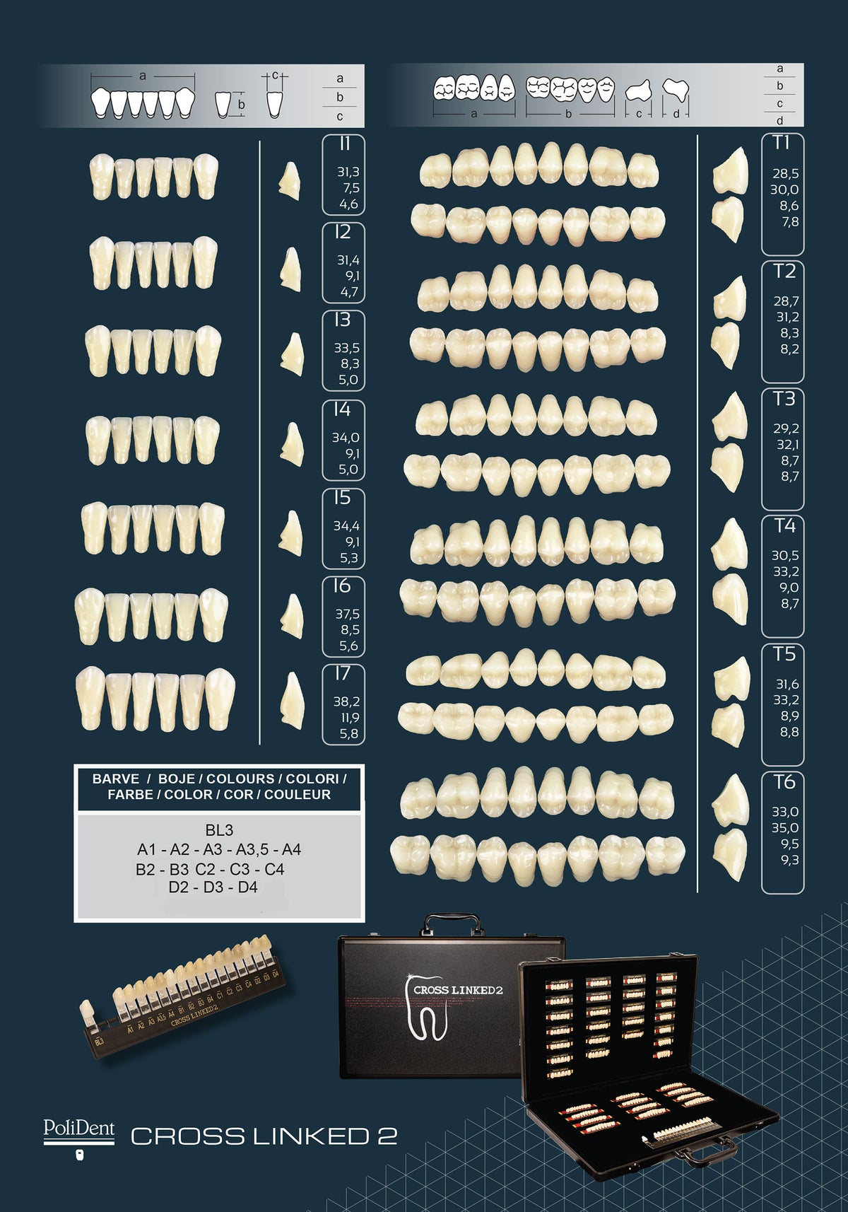 Cross Linked II - Map of shapes for choice of forms of teeth