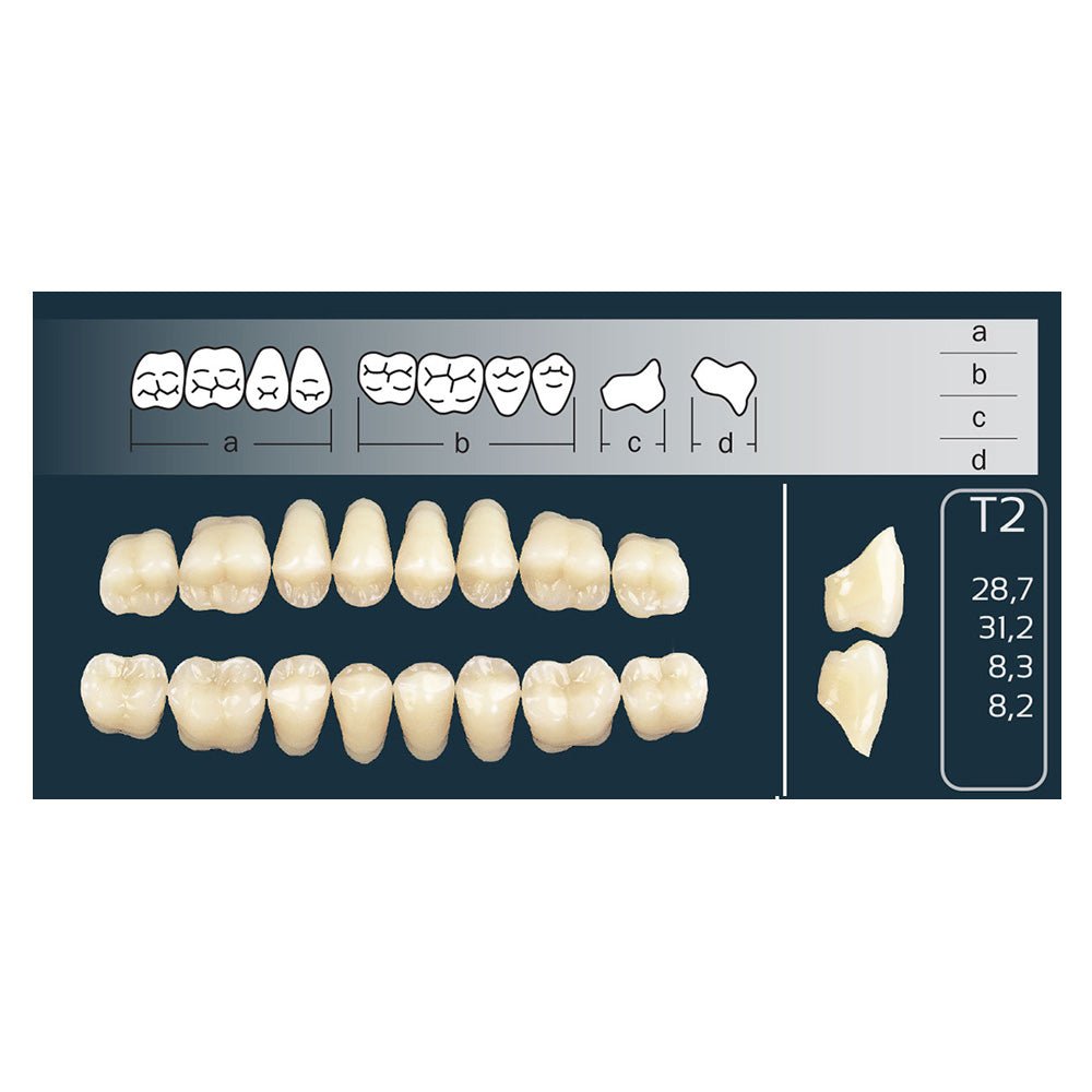 Posterior linked cross teeth t2 - choice high or low brochure